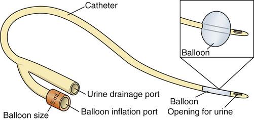 Silicone Coated Foley Catheter 2 Way Antimicrobial Latex Female Medical ...