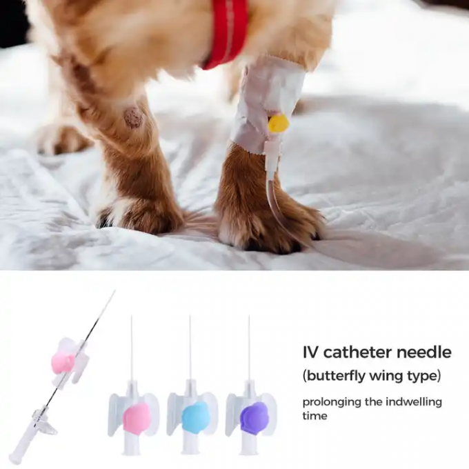 ISO Certificate Disposable IV Cannula Intravenous Injection Needle ...