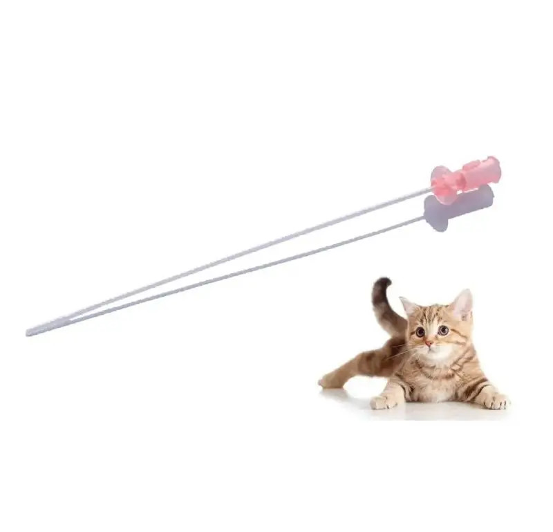 Feline Indwelling Catheter Perfect Solution for Cat Urinary Emergencies