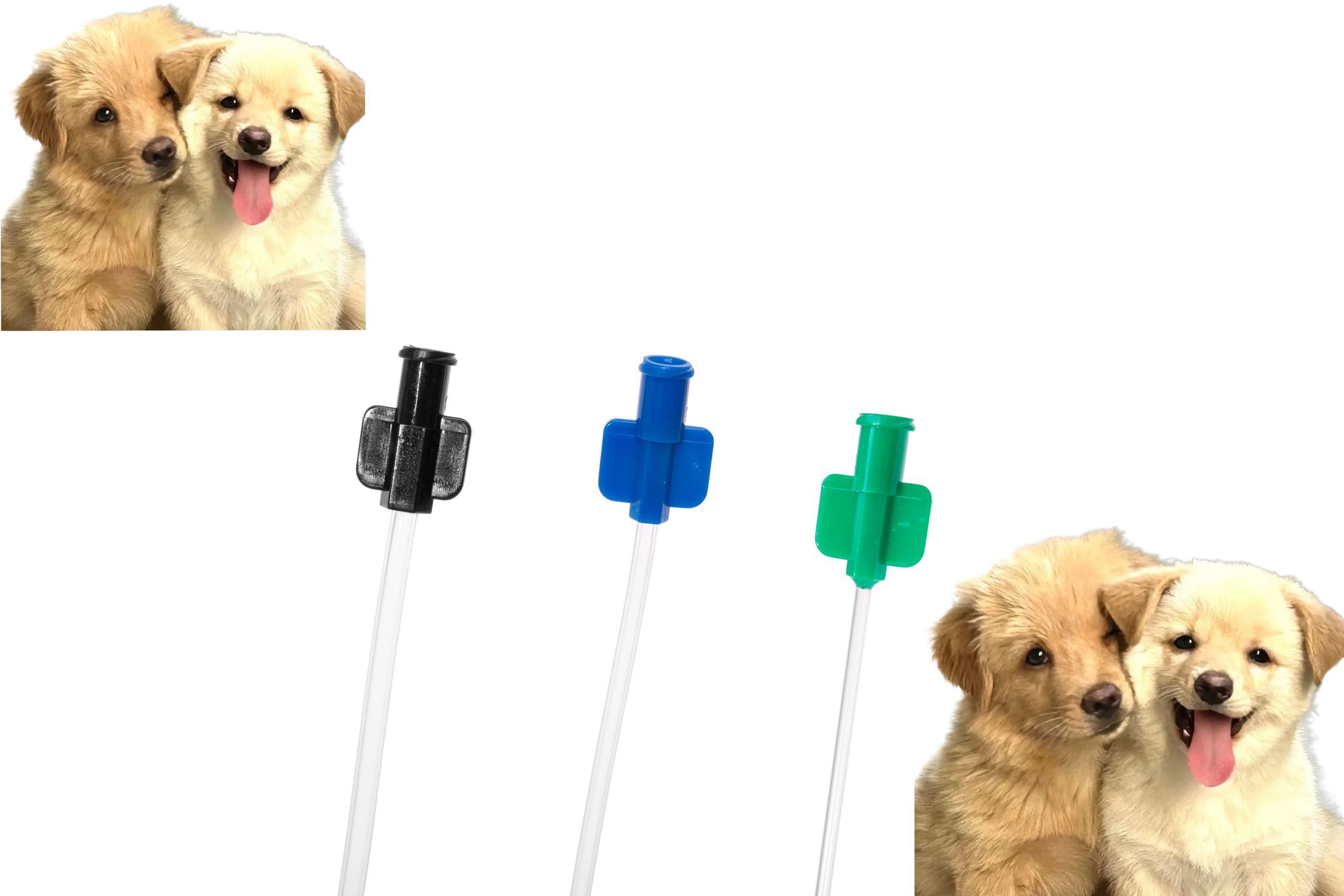 PVC Dog Urinary Catheter Flushing Retention Pet Tube for Dog Urinary Care